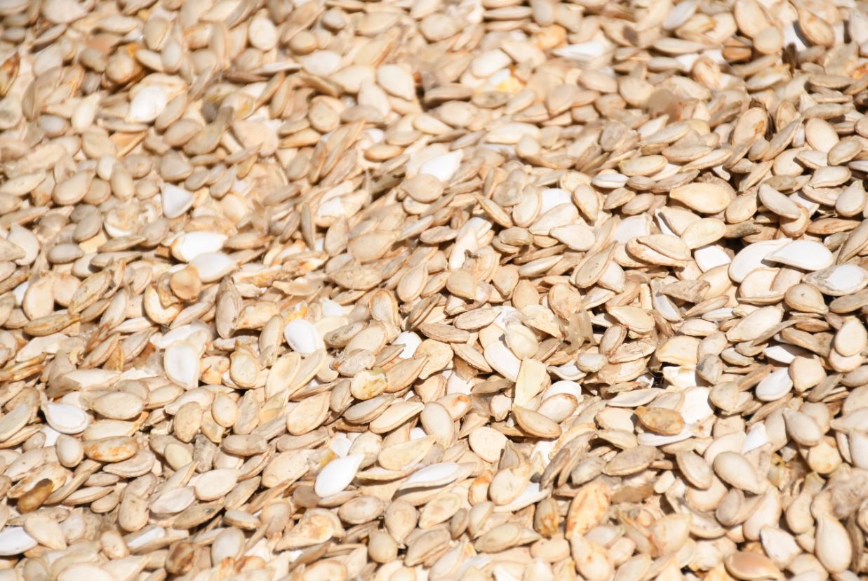 Mbegu za maboga/Tetere Tanzania pepita per Kg – Sahili